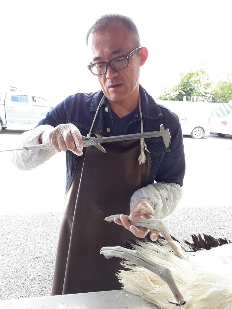 International colaboration on seabird bycatch – Forest & Bird